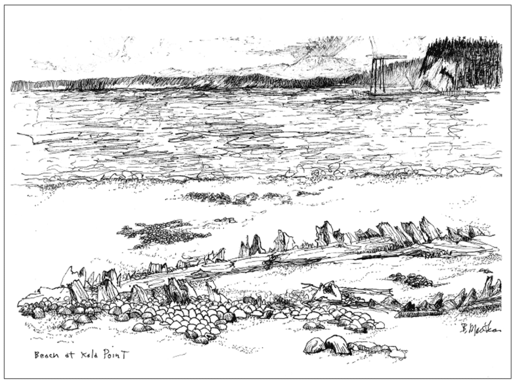 History - Kala Point Owners' Association